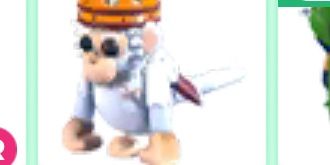 Beli Pet royal capuchin monkey no potion adopt me Adopt Me Trading Hub ...