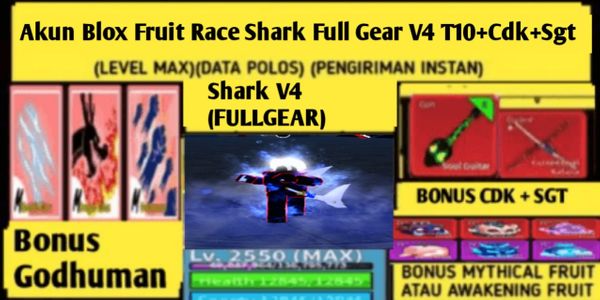 Buy Account Blox Fruit CDK + SGT + Shark Full Gear V4 T10 (LevelMax ...