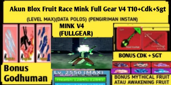 Buy Account Blox Fruit Account CDK + SGT + Mink Full Gear V4 T10 ...