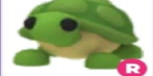 Buy Pet TURTLE R - ADOPT ME Adopt Me Roblox Trading Hub 3014146 | itemku