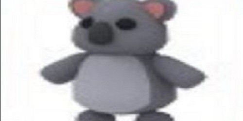 Beli Pet KOALA - ADOPT ME Adopt Me Trading Hub Terlengkap dan Termurah ...