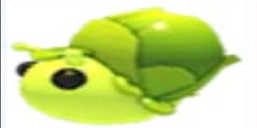 Beli Pet SPROUT SNAIL - ADOPT ME Adopt Me Roblox Trading Hub Terlengkap ...