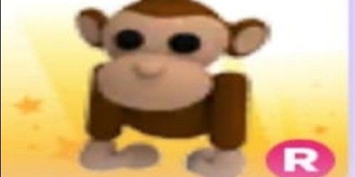 Beli Pet MONKEY R - ADOPT ME Adopt Me Roblox Trading Hub Terlengkap dan ...