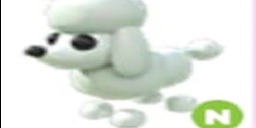 Beli Pet POODLE N - ADOPT ME Adopt Me Roblox Trading Hub Terlengkap dan ...