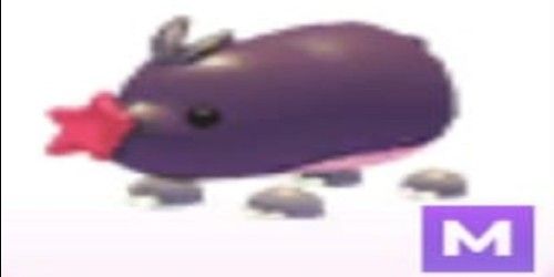 Buy Pet MOLE M - ADOPT ME Adopt Me Roblox Trading Hub 3019102 | itemku