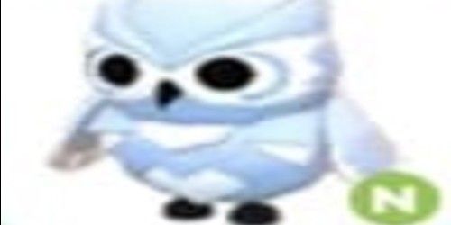Beli Pet SNOW OWL N - ADOPT ME Adopt Me Roblox Trading Hub Terlengkap ...