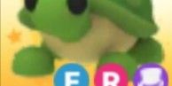 Buy Pet FR Turtle Adopt Me Roblox Trading Hub 3019369 | itemku