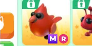 Beli Pet mega ride mr red cardinal adopt me Adopt Me Roblox Trading Hub ...