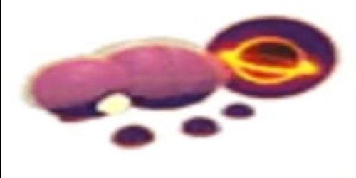 Buy Pet SINGULARITY BEETLE - ADOPT ME Adopt Me Trading Hub 3024535 | itemku