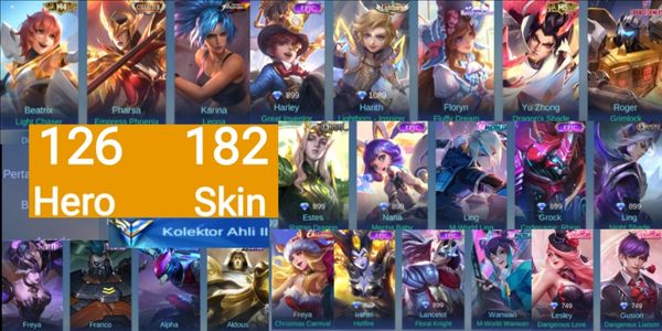 Buy Account HERO MAX SKIN 182 COLLECTOR PHARSA TF ROGER MWORLD LING ...