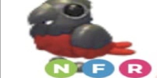 Beli Pet DRACULA PARROT NFR - ADOPT ME Adopt Me Roblox Trading Hub ...