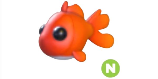 Buy Pet N Goldfish Adopt Me Trading Hub 3028736 | itemku