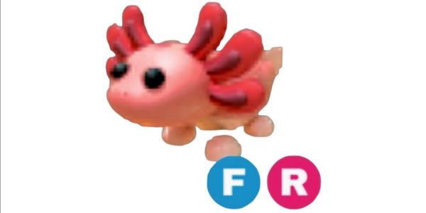 Buy Pet FR Axolotl Adopt Me Trading Hub 3028646 | itemku