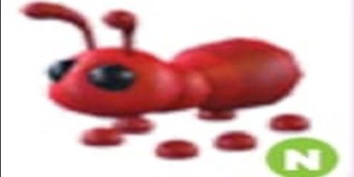 Buy Pet ANT N - ADOPT ME Adopt Me Trading Hub 3029437 | itemku