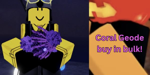 Buy Item Coral Geode - RBL Fisch Fisch 3047135 | itemku