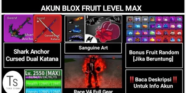 Buy Account Blox Fruit Sanguine Art Account + Race Human V4 Full Gear ...