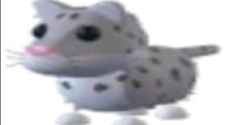 Buy Pet SNOW LEOPARD - ADOPT ME Adopt Me Trading Hub 3054276 | itemku