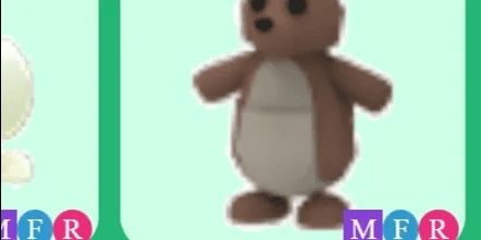 Buy Pet mfr kangaroo adopt me Adopt Me Trading Hub 3001546 | itemku