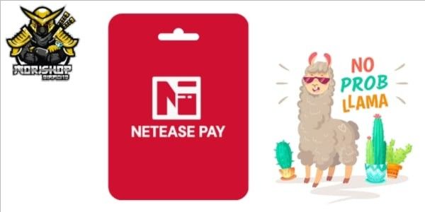 Buy Gift Card 100 USD NetEase Pay 3001423 | itemku