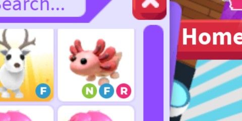 Buy Pet Nfr axolotl Adopt Me Roblox Trading Hub 3007155 | itemku