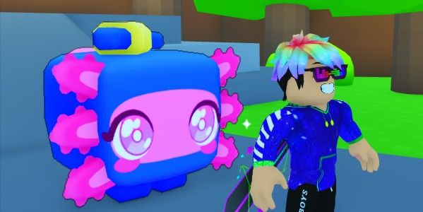 Beli Pet Exclusive HUGE NINJA AXOLOTL TRANSFERED Pet Simulator X ...