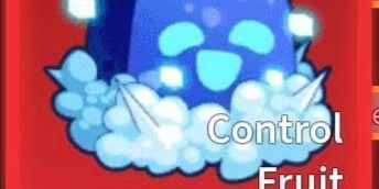 Beli Fruit Control fruit Blox Fruits Roblox Terlengkap dan Termurah ...