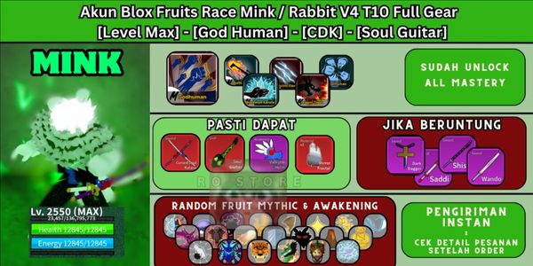 Beli Akun Akun Blox Fruits Race Mink / Rabbit V4 T10 Full Gear [Level ...