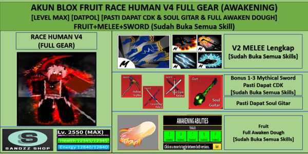 Buy Account Blox Fruit Race Human V4 Full Gear (Awakening) Account ...