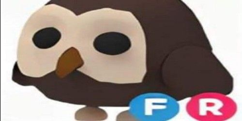 Buy Pet OWL FR - ADOPT ME Adopt Me Trading Hub 3074361 | itemku