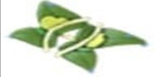 Buy Item RAIN LEAF WINGS - ADOPT ME Adopt Me Trading Hub 3076255 | itemku