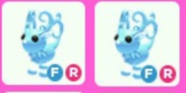 Beli Pet Fr Fleur De Ice Fr Pet Adopt Me Adopt Me Roblox Trading Hub ...