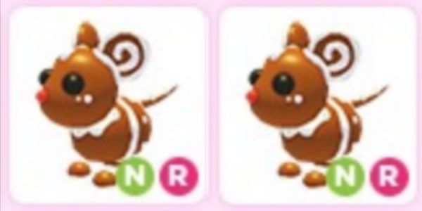 Beli Pet NR Gingerbread Mouse NR Adopt Me Roblox Trading Hub Terlengkap ...