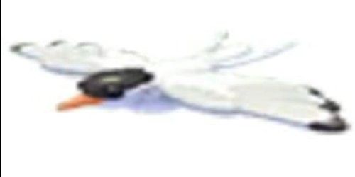 Buy Pet ARCTIC TERN - ADOPT ME Adopt Me Trading Hub 3092597 | itemku