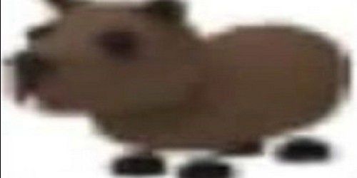 Beli Pet CAPYBARA - ADOPT ME Adopt Me Trading Hub Terlengkap dan ...