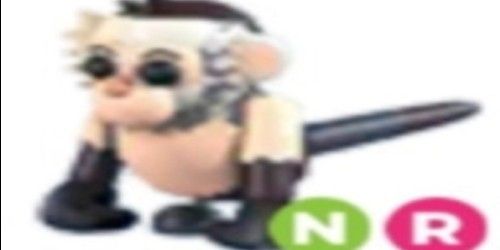 Beli Pet CAPUCHIN MONKEY NR - ADOPT ME Adopt Me Trading Hub Terlengkap ...