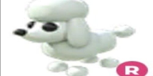 Buy Pet POODLE R - ADOPT ME Adopt Me Trading Hub 3110297 | itemku