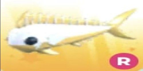 Beli Pet GOLD MAHI MAHI R - ADOPT ME Adopt Me Trading Hub Terlengkap ...