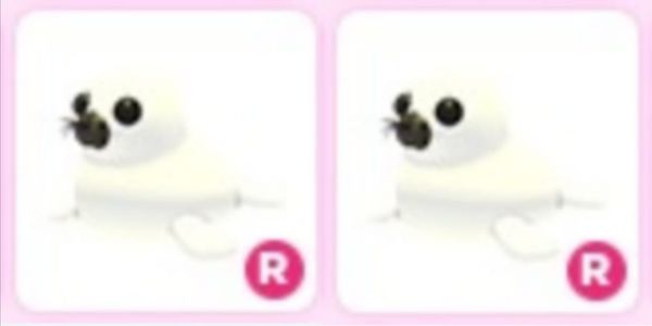 Buy Pet Harp Seal R Adopt Me Adopt Me Trading Hub 2628201 | itemku