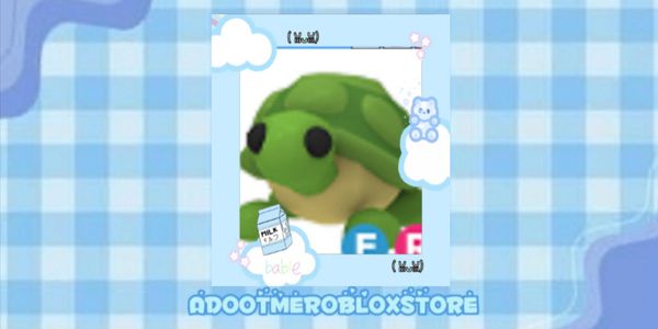 Buy Item FR Turtle - Adopt Me Roblox 2629419 | itemku