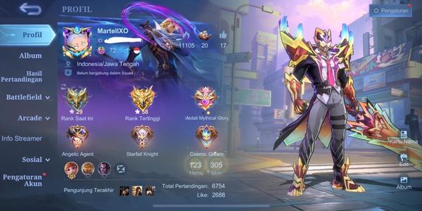 Beli Akun Akun Skin 305, 3 Skin Legend, YSS Collector, Neo Ferdinn ...