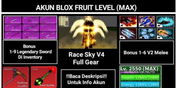 Buy Account Blox Fruit Account (Race Sky V4 Full Gear [Awakening ...