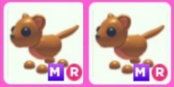 Beli Pet Fossa MR Adopt Me Adopt Me Roblox Trading Hub Terlengkap dan ...