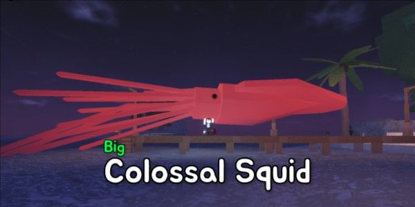 Beli Fish Big Colossal Squid Fisch Terlengkap dan Termurah April 2025 ...