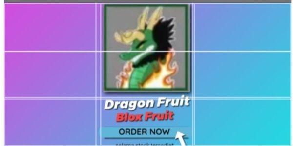 Buy Fruit Dragon Blox Fruits 3146227 | itemku