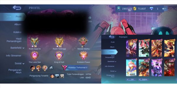 Buy Account MOBILE LEGENDS ACCOUNT | SKIN 377 LUXURY SPECS Mobile ...