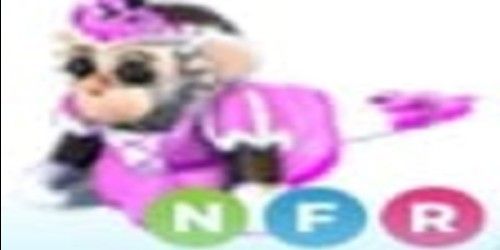 Buy Pet PRINCESS CAPUCHIN MONKEY NFR - ADOPT ME Adopt Me Trading Hub ...