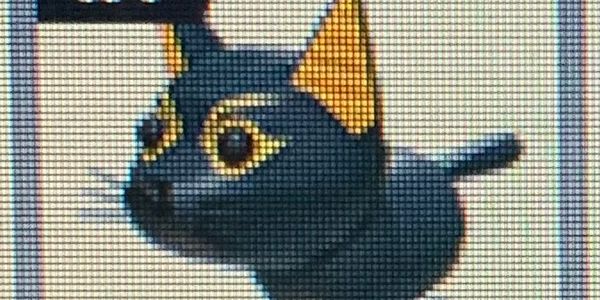 Buy Pet normal abyssinian cat - adopt me Adopt Me Trading Hub 3163151 ...