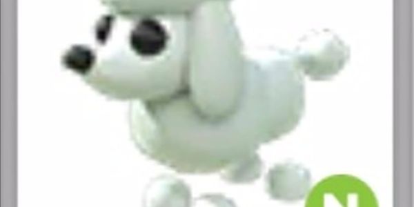 Buy Pet N Neon Poodle -Adopt Me Adopt Me Trading Hub 3166321 | itemku