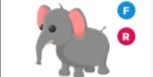 Buy Pet Elephant FR > pet Adopt me Adopt Me Trading Hub cheapest May ...