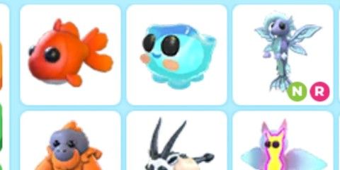 Beli Pet merhorse(neon and ride) Adopt Me Trading Hub Terlengkap dan ...